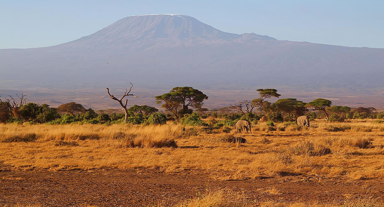 Tanzania Tour Packages | Safaris, Zanzibar & Kilimanjaro